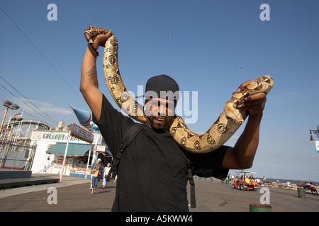 Man with pet python on the boardwalk at Coney Island Stock Photo - Alamy