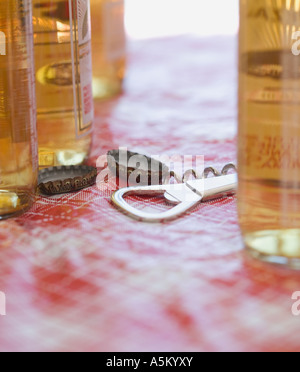 a high angle shot of beer bottles in a box Stock Photo - Alamy