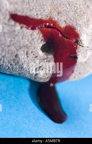 getting blood out of a stone bleeding stone Stock Photo - Alamy