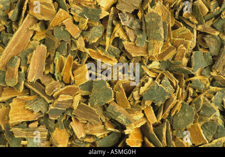 Faulbaum Faulbaumrinde geschnitten getrocknet Alder blackthorn dry ...