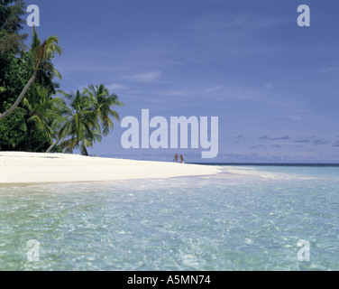 Maldives Indian ocean atoll Ihuru island isle corals times sea about ...