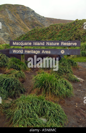 Anare scientific station Macquarie Island, Australia Stock Photo - Alamy