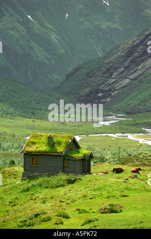 Norwegian traditional grass roof house Stock Photo - Alamy