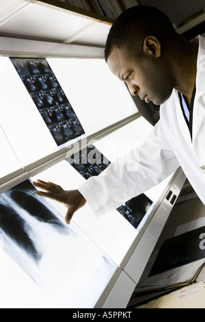 Male doctor looking at chest x rays Stock Photo - Alamy