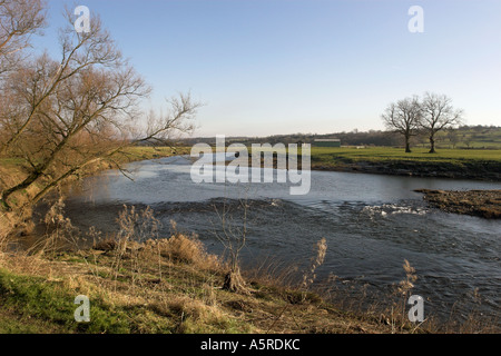 The River Ribble at Ribchester in Central Lancashire Stock Photo - Alamy