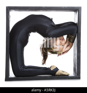 Female contortionist inside the box Stock Photo - Alamy