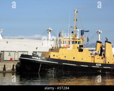 Boats and tugs in dock, Gibraltar, Marine Services Support Fleet Adept ...