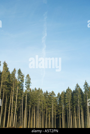 A low angle shot of a plane in the blue cloudy sky Stock Photo - Alamy