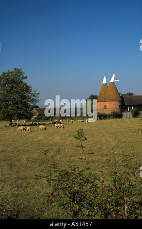 Oast Houses and Kentish Countryside at Three Chimneys Nr Biddenden ...