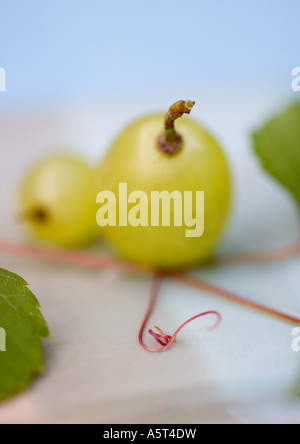 Grapes without the stems Stock Photo - Alamy