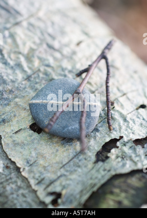 Pebbles & Bark Stock Photo - Alamy