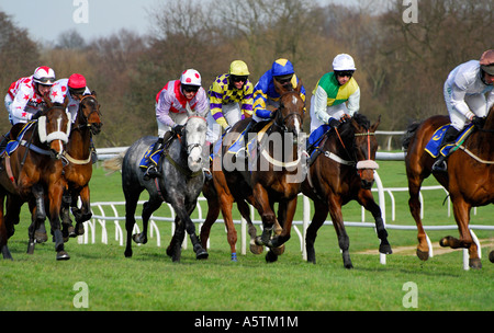 race horses, fakenham races, norfolk, england Stock Photo - Alamy