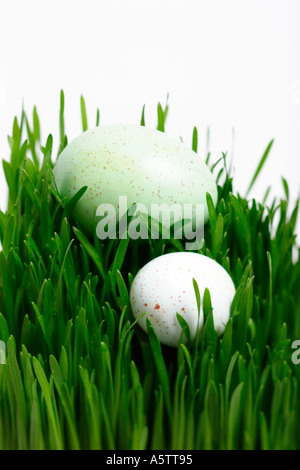 Easter eggs in a grass Stock Photo - Alamy