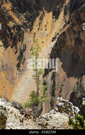 The impressive Grand Canyon of Yellowstone Stock Photo - Alamy