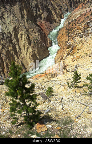 Inspiration Point, Grand Canyon of the Yellowstone river, Yellowstone ...