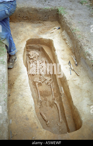 Skeleton unearthed in Jamestown, Virginia Stock Photo - Alamy