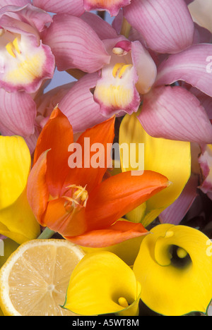Colorful tulips, bouquet of flowers, spring easter background or women ...
