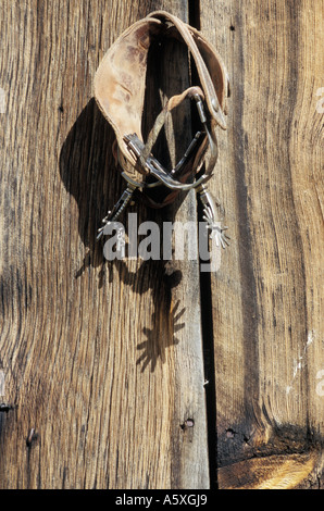 Spurs hanging on wooden wall Stock Photo - Alamy