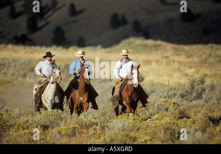 Three cowboys riding Oregon USA Stock Photo - Alamy