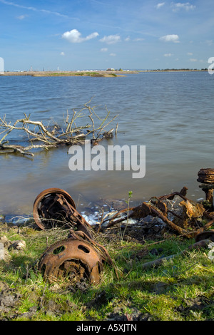RSPB Nature reserve Cliffe Pools, Kent, England, UK Stock Photo - Alamy