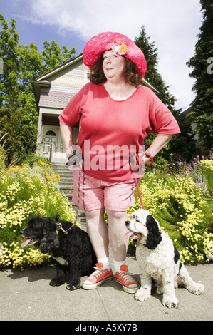 Woman walking Cocker Spaniels Stock Photo - Alamy