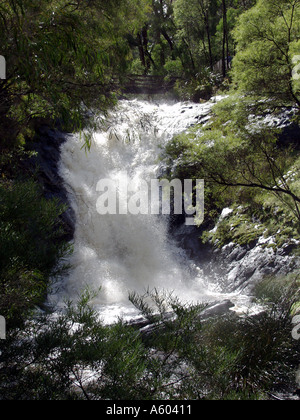 Beedelup falls Western Australia Stock Photo - Alamy