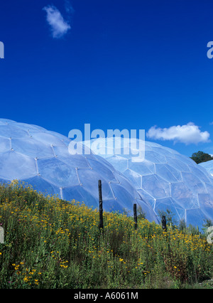Geodesic Domes of the Eden Project Cornwall England UK Stock Photo - Alamy