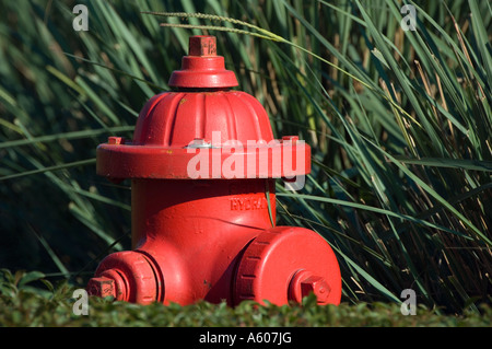 overgrown obstructed fire hydrant red emergency water hookup Stock ...