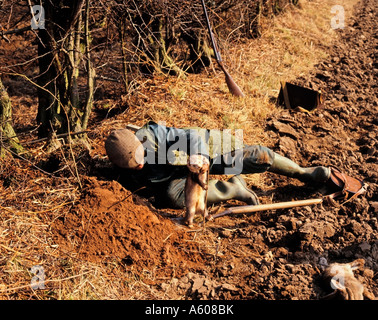 Ferreter ferreting, Hunting rabbits with ferrets, Norfolk, England ...