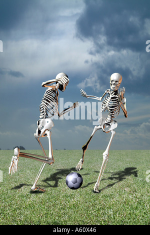 Structure of human skull and spinal column illustration Stock Photo - Alamy