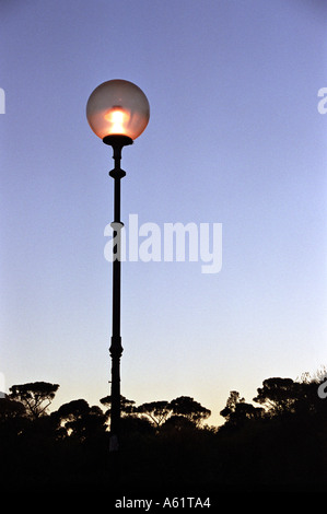 spherical lampost lit at night with trees in background Stock Photo - Alamy