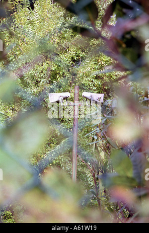 two public announce system speakers through trees Stock Photo - Alamy