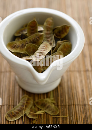 Senna pods (Senna alexandrina). Senna is a natural laxative Stock Photo ...