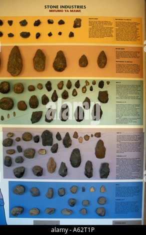 Stone age tools displayed in the museum at Olduvai Gorge, Ngorongoro ...