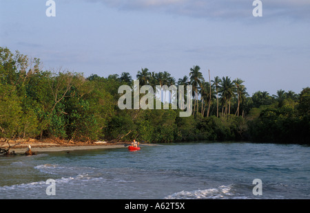 mangroves and palm-lined beach Pangani Tanzania Stock Photo - Alamy