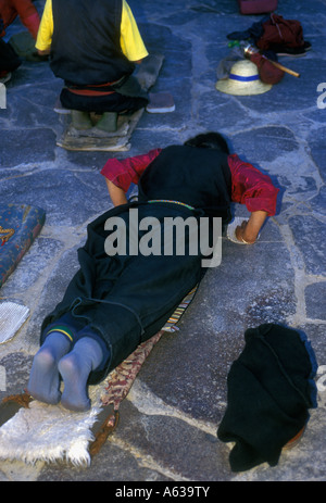 Tibetan people, Buddhists, pilgrim, pilgrims, circumambulate ...