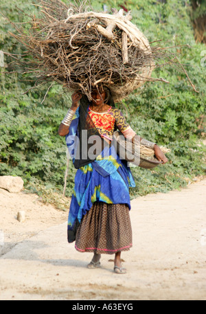 Vibrantly colourful tattoed woman of the Bharwad tribe at Ambala ...