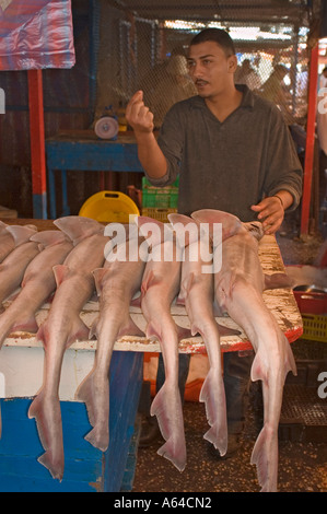 Tripoli, Libya. Men Fishing in Tripoli Harbor, Harbour Stock Photo - Alamy