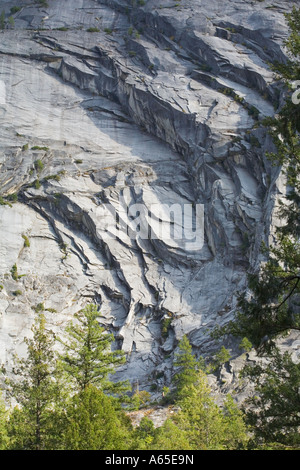 Yosemite Valley Granite Cliffs Forest Meadow Yosemite National Park ...