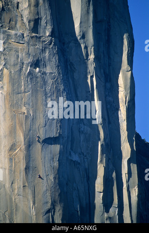 Climbers on the Salathe Wall El Capitan Yosemite Valley Yosemite ...