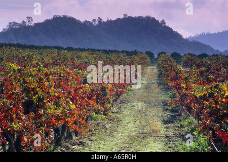 Vineyards RustRidge Ranch and Winery Lower Chiles Valley Road Chiles ...