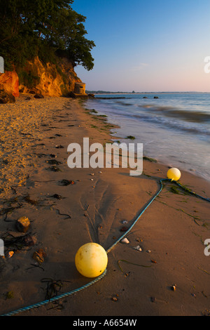 Knoll beach, Studland, Dorset UK. 5th August 2022. UK weather: warm and ...