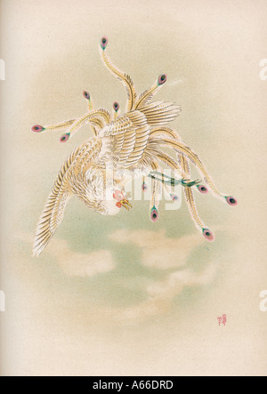 Folklore Birds Phoenix Stock Photo - Alamy