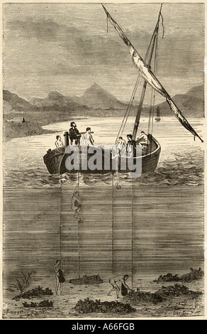 Diving for Pearls Stock Photo - Alamy