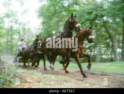 Combined driving event endurance course Stock Photo - Alamy