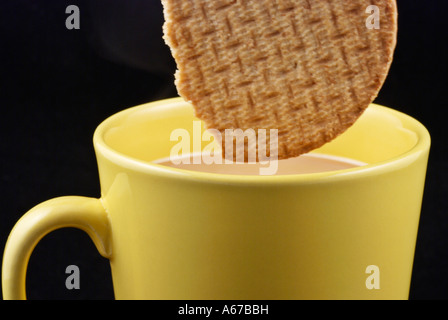 Tea and Biscuits A digestive biscuit being dipped or dunked into a cup ...