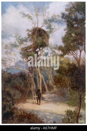 Papua Tree House 1911 Stock Photo - Alamy