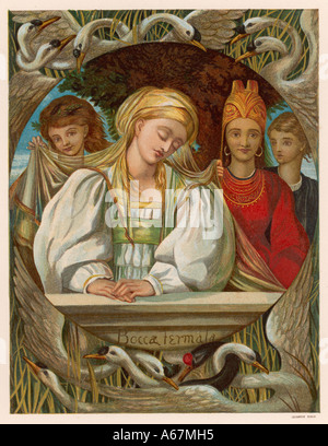 The Six Swans Stock Photo - Alamy