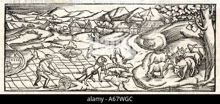 A farming scene in the middle ages (allegedly England, but more likely ...