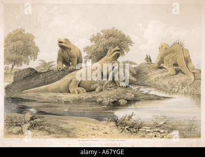Extinct Animals Carved Stock Photo - Alamy